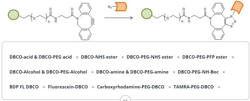 DBCO-PEG4-biotin/CAS:1255942-07-4 二苯基环辛炔-四聚乙二醇-生物素PEG Linke品牌：西安齐岳西安-盖德化工网